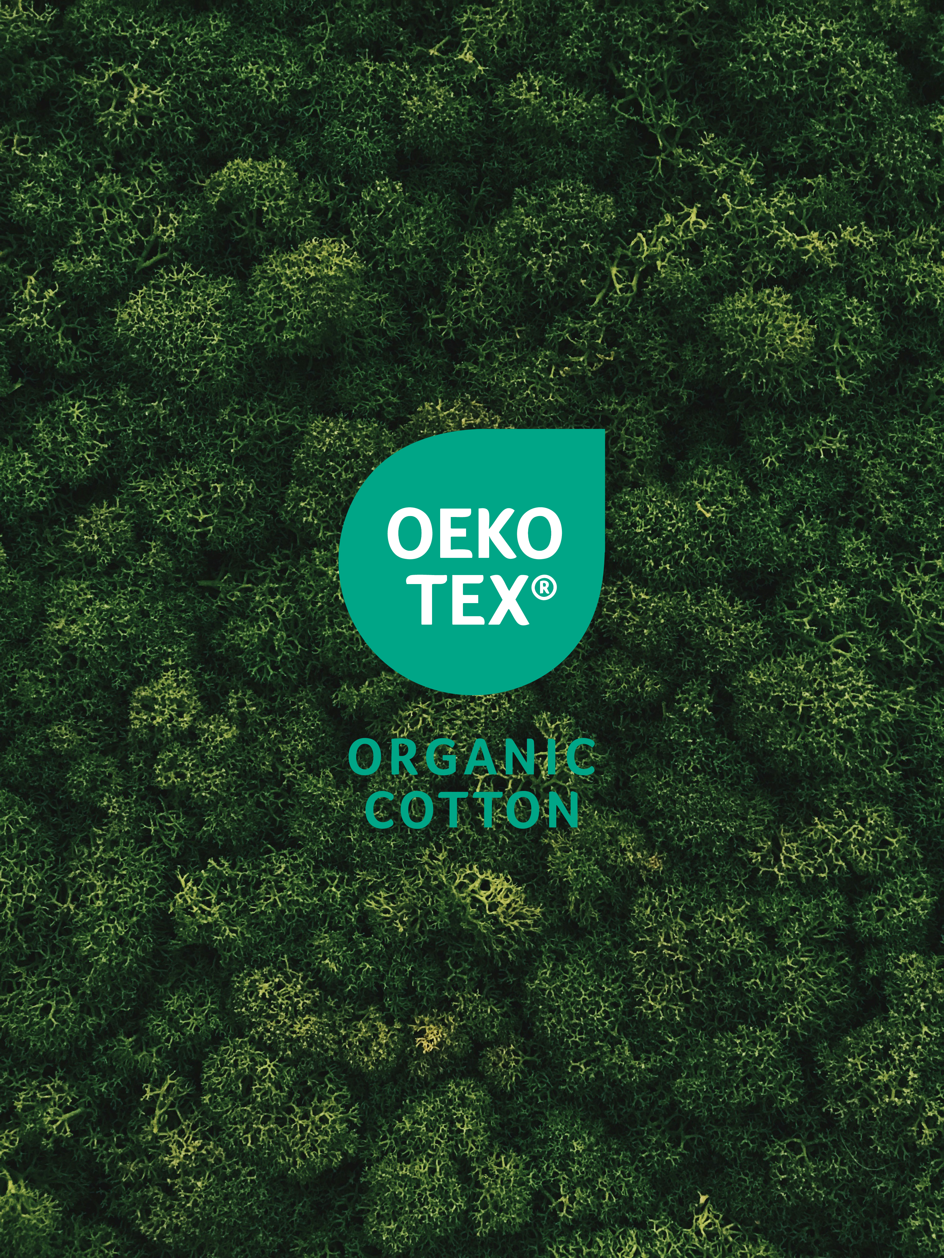 About Us | Sustainable Blank Wholesale Clothing – BASICO BRANCO